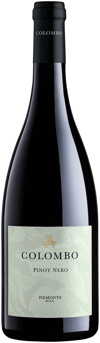 Pinot nero - Colombo Vino